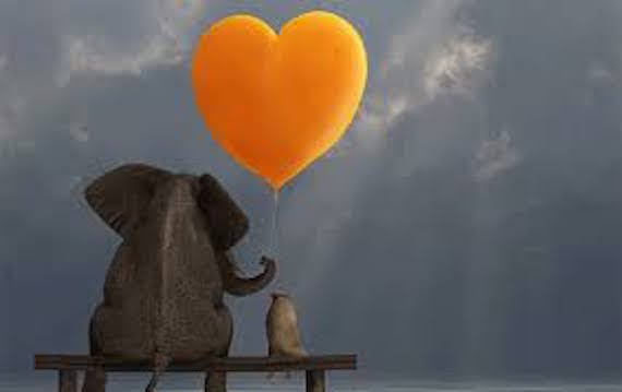 What Touches Us Changes Our Lives Forever…. – Daily Muse